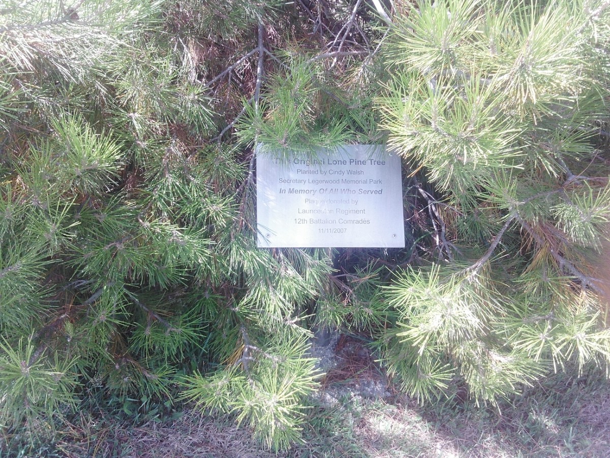 Legerwood's Memorial Trees: Tasmania's WW1 Heritage - HubPages