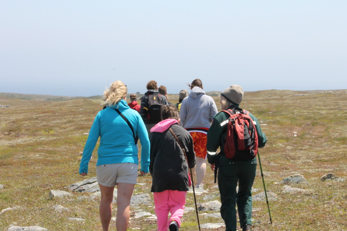 Visiting Mistaken Point Ecological Reserve - HubPages