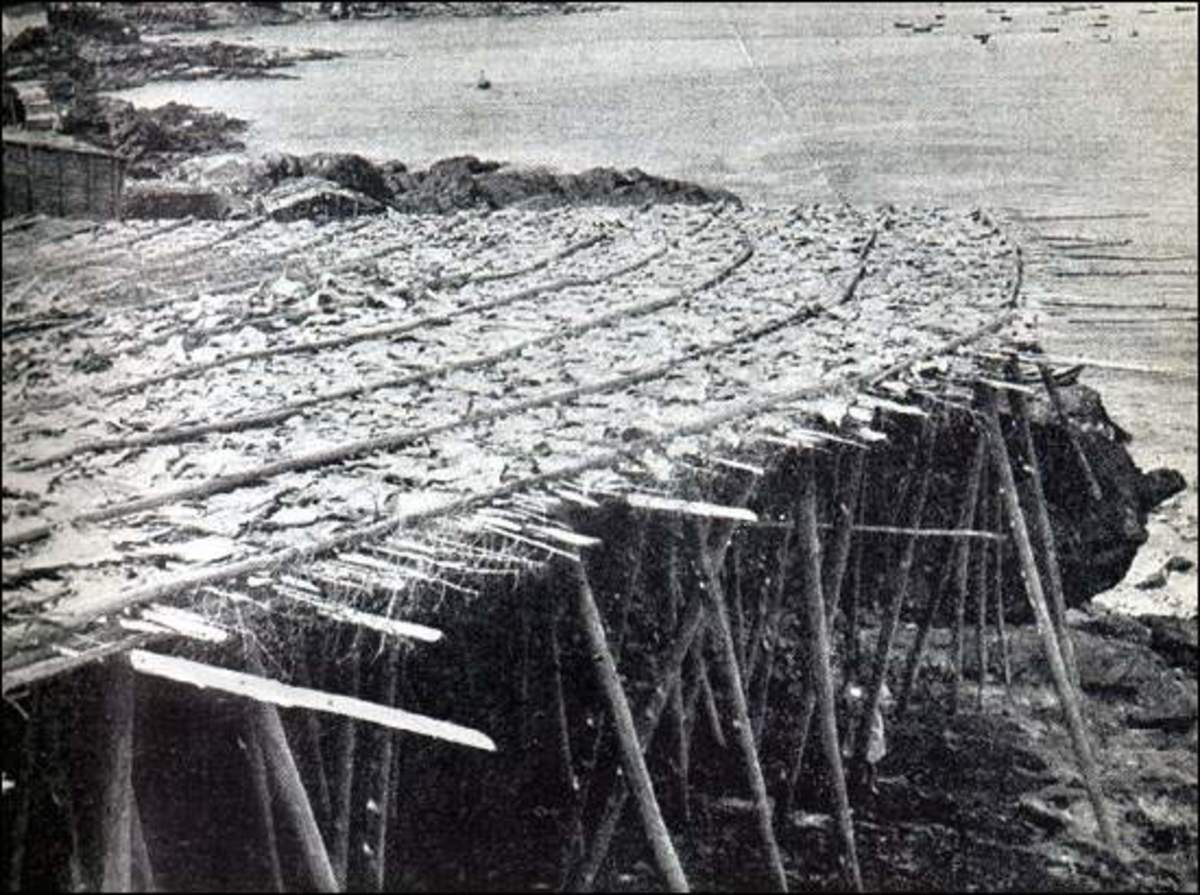 Father Duffy's Well in Newfoundland and Labrador, Canada - HubPages