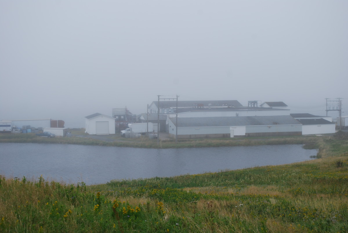 Father Duffy's Well in Newfoundland and Labrador, Canada - HubPages