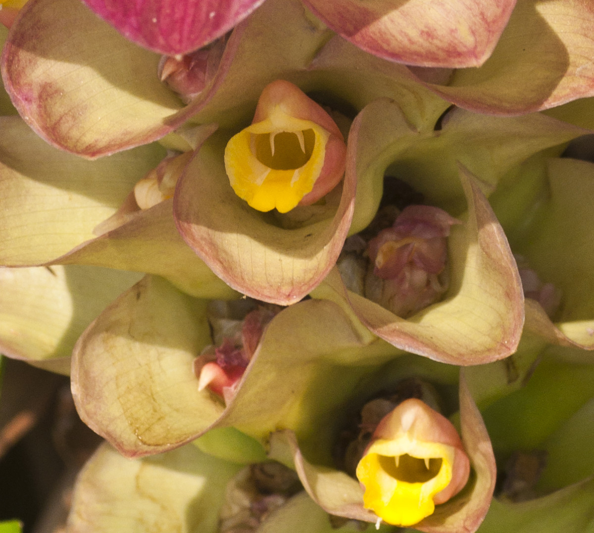 Vacation Photographers: Don't Forget the Small Stuff - HubPages