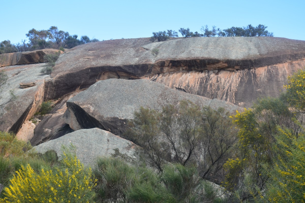 Meandering the Western Australian Wheatbelt - WanderWisdom
