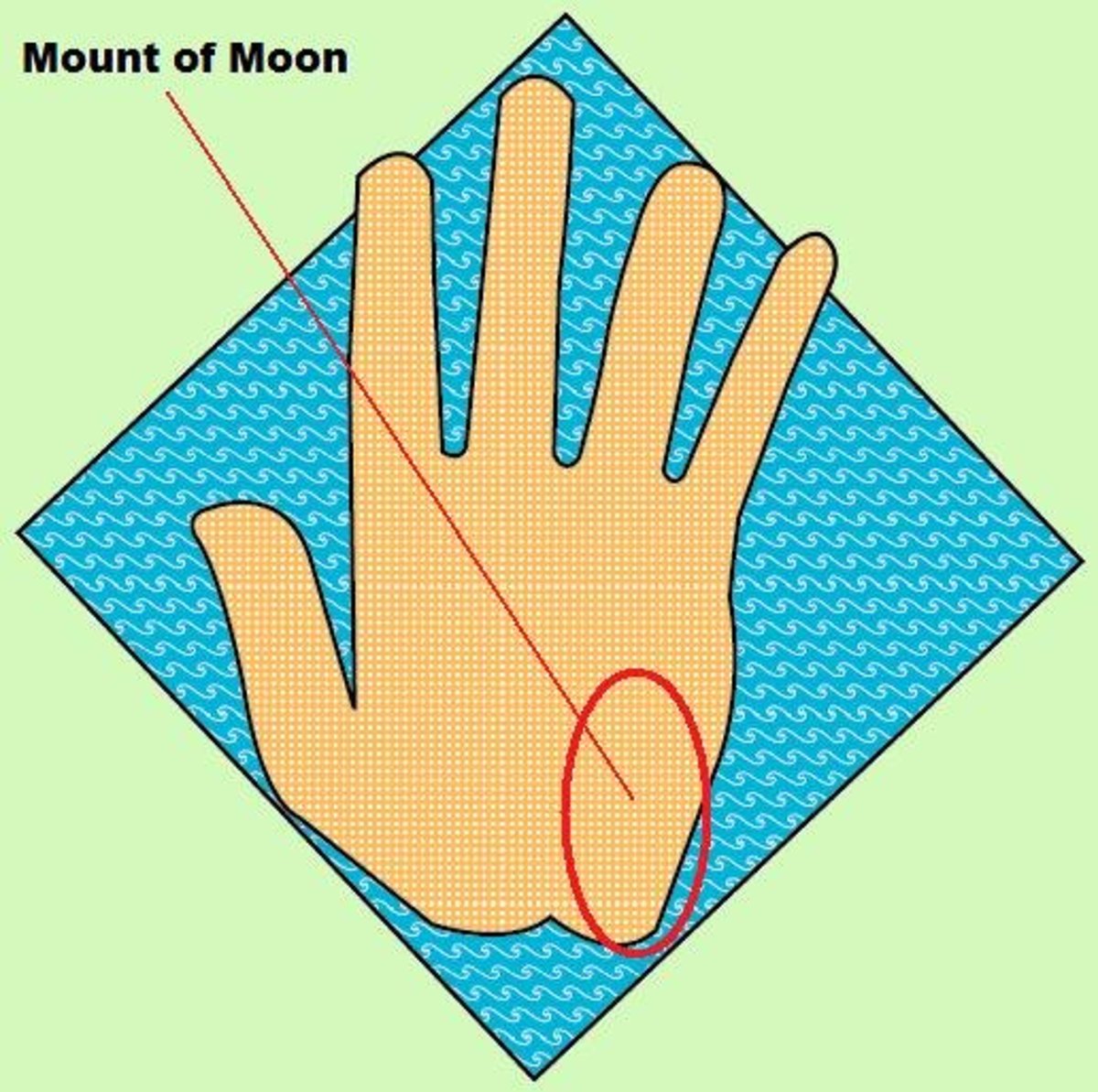 Significance and Meanings of Mounts in Palmistry - HubPages