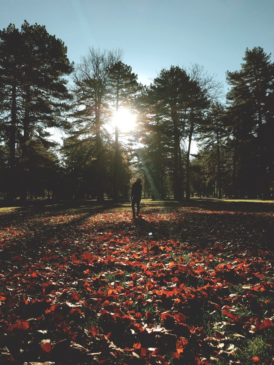 Top Spots for Utah's Fall Colors - HubPages