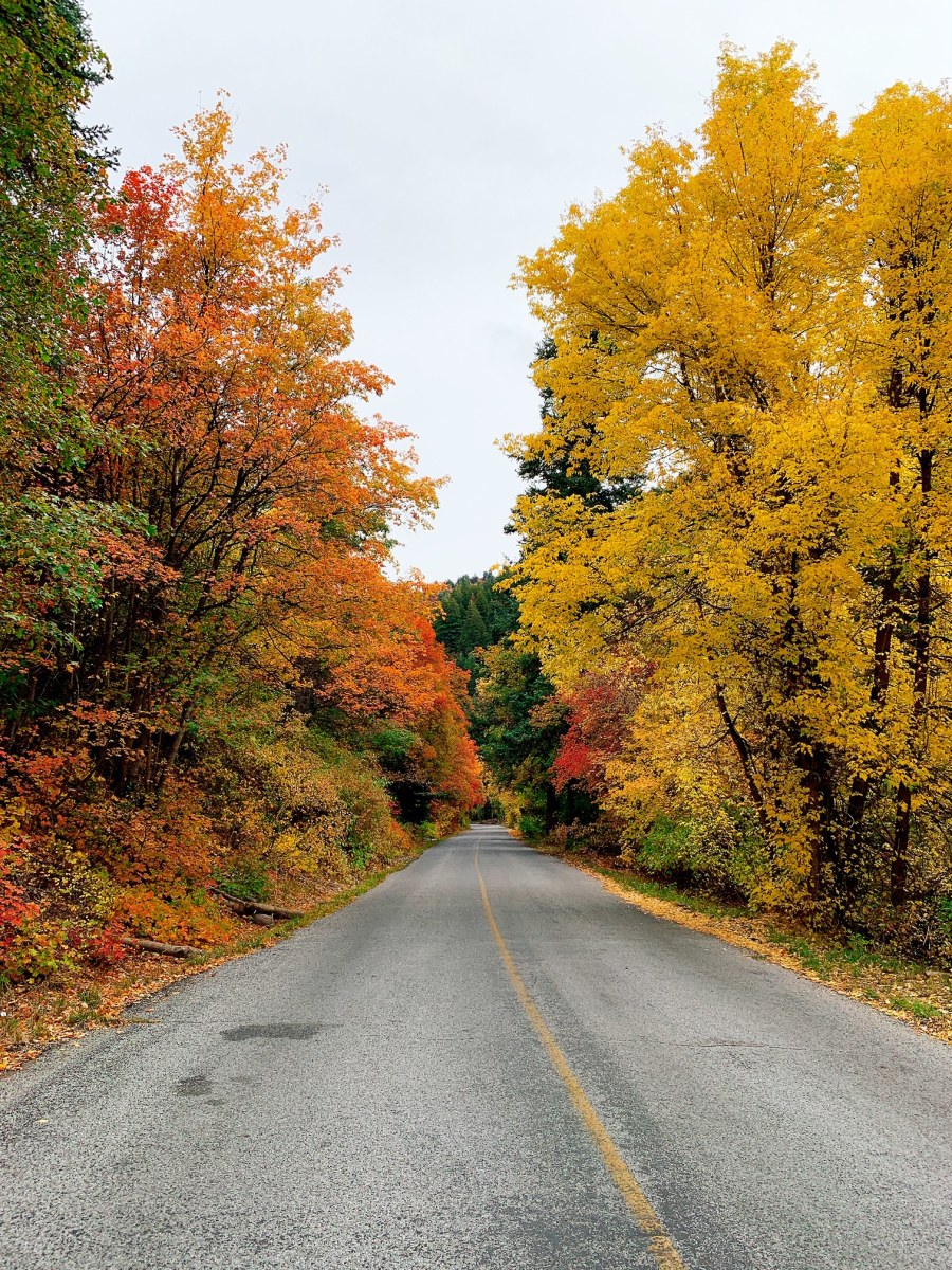 Top Spots for Utah's Fall Colors - HubPages