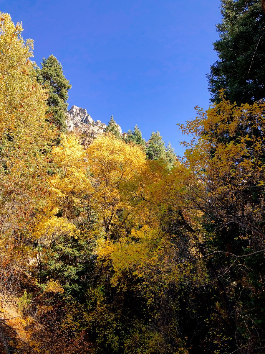 Top Spots for Utah's Fall Colors - HubPages