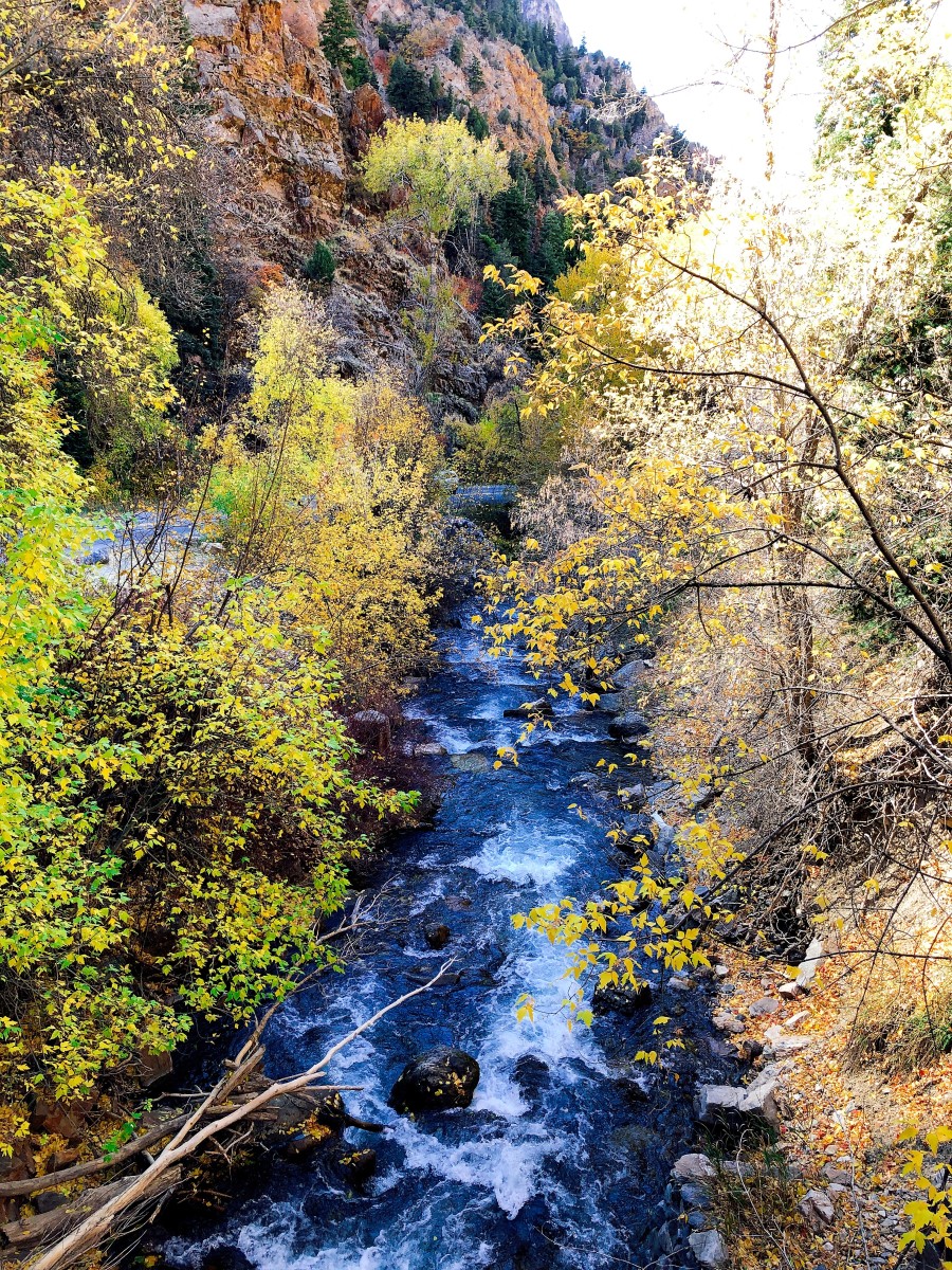 Top Spots for Utah's Fall Colors - HubPages