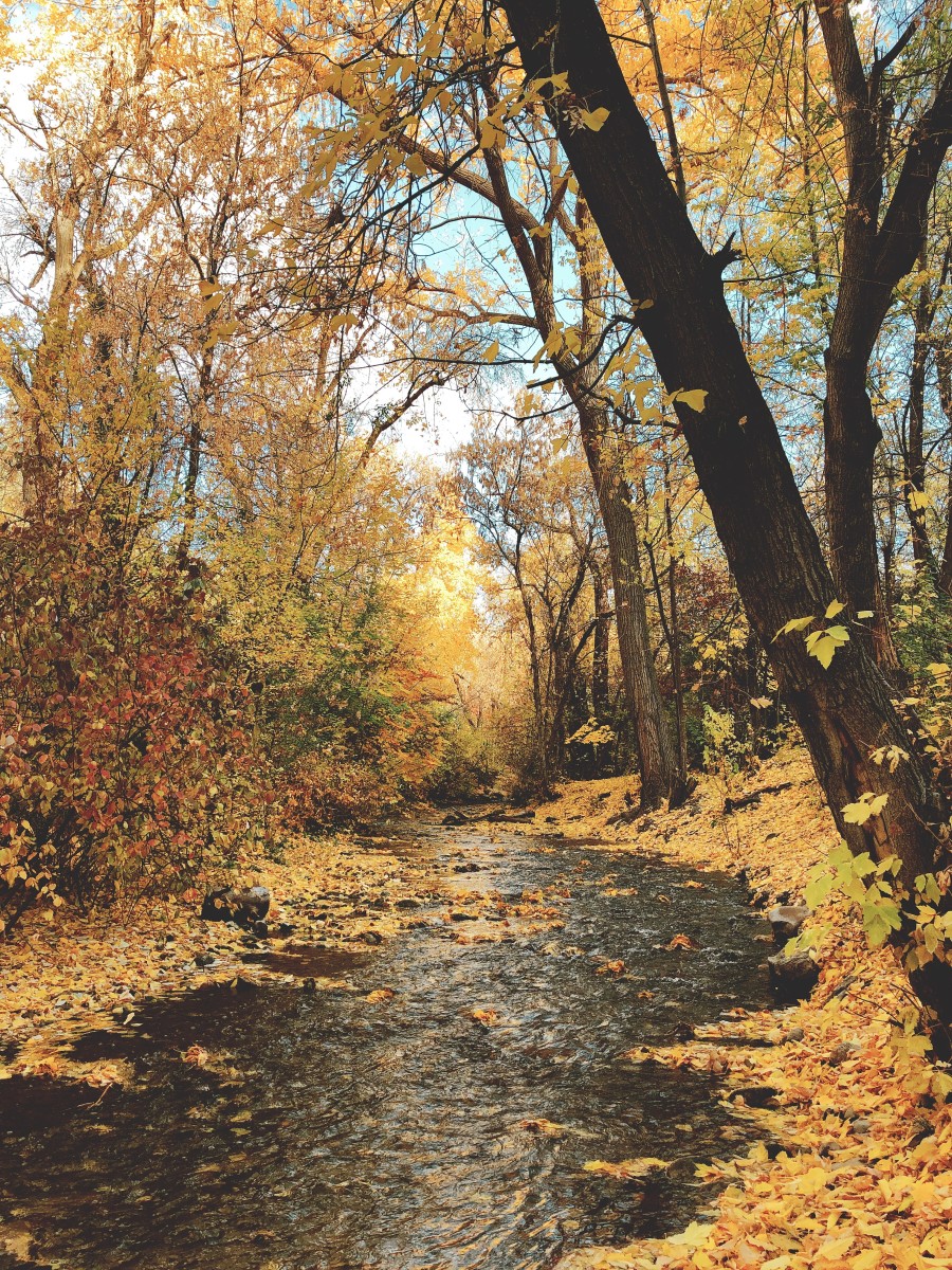 Top Spots for Utah's Fall Colors - HubPages