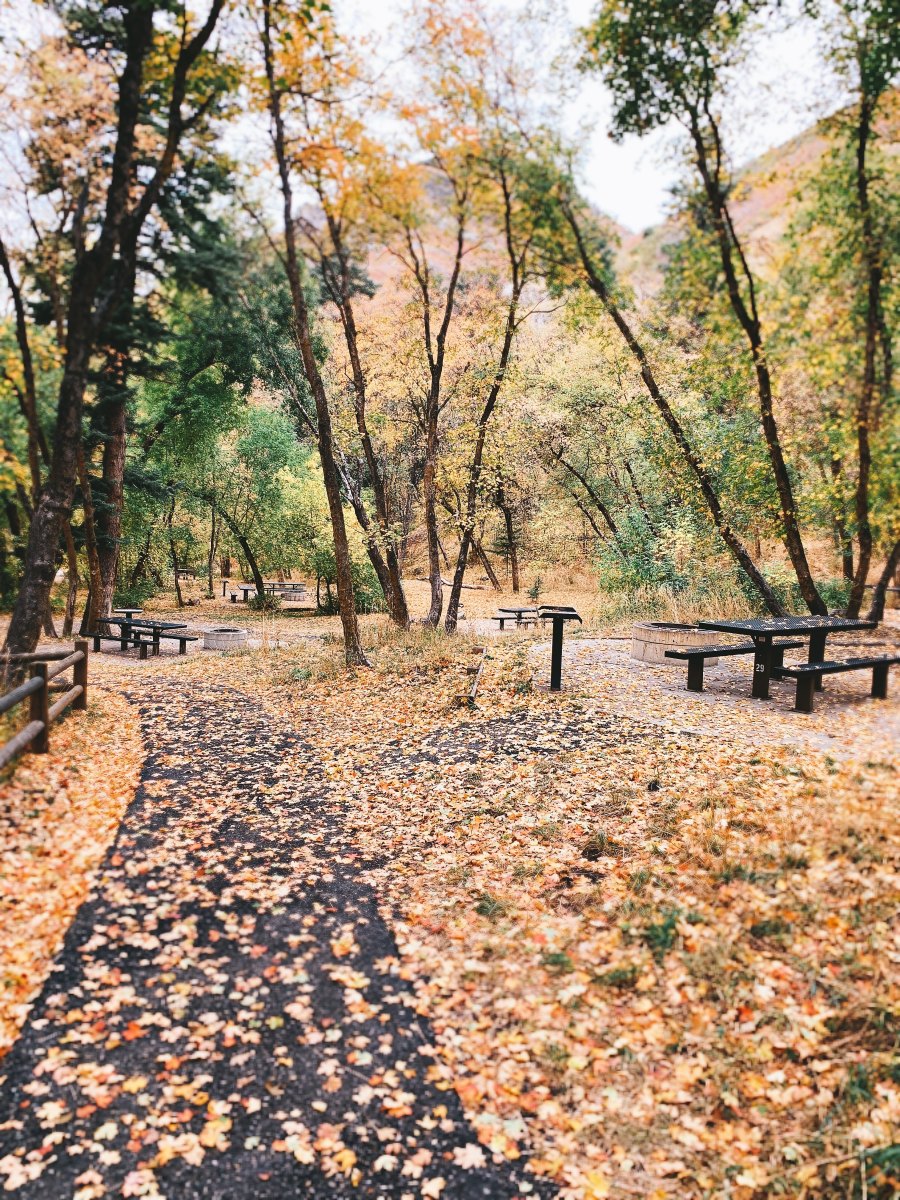 Top Spots for Utah's Fall Colors - HubPages