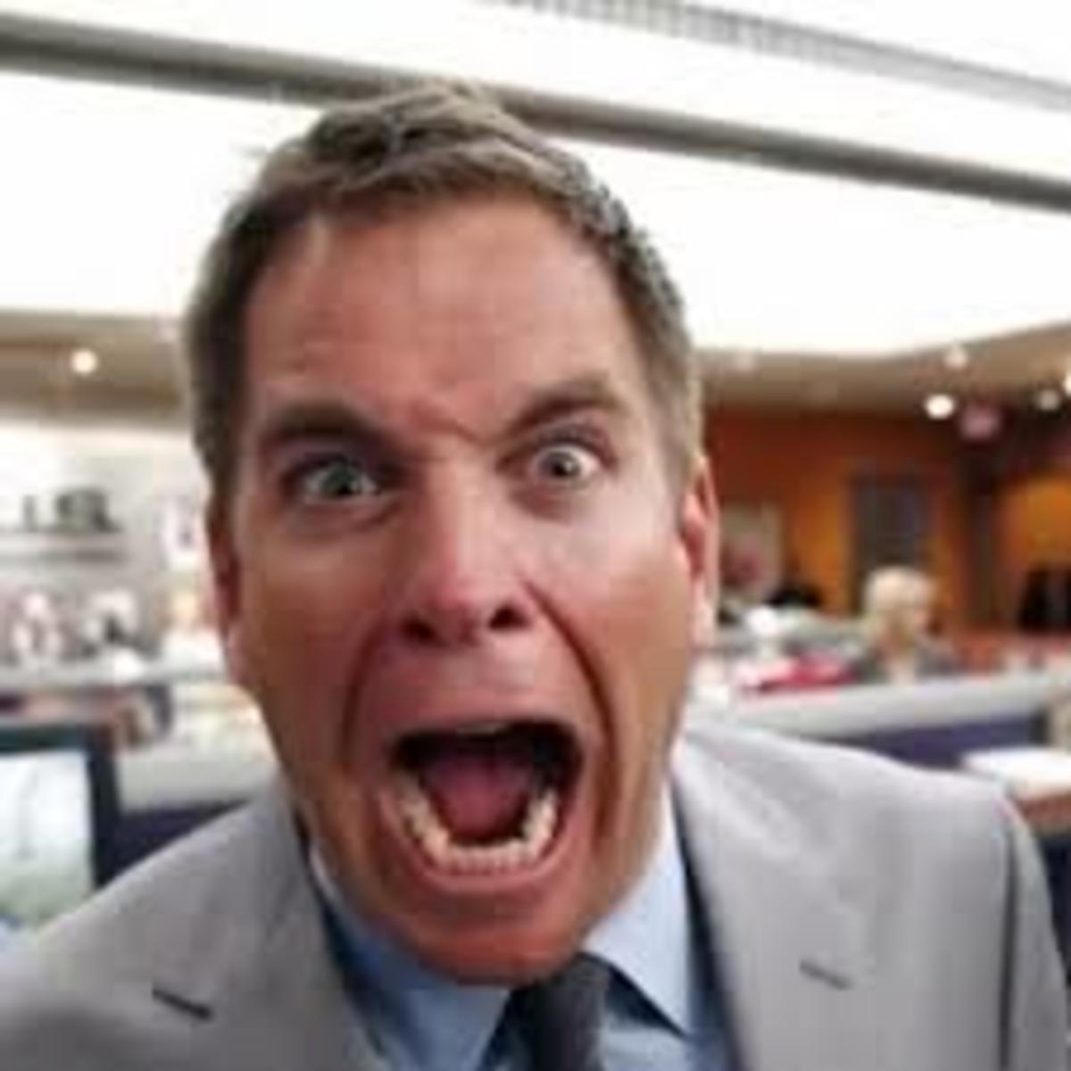 Anthony Dinozzo Funny Quotes