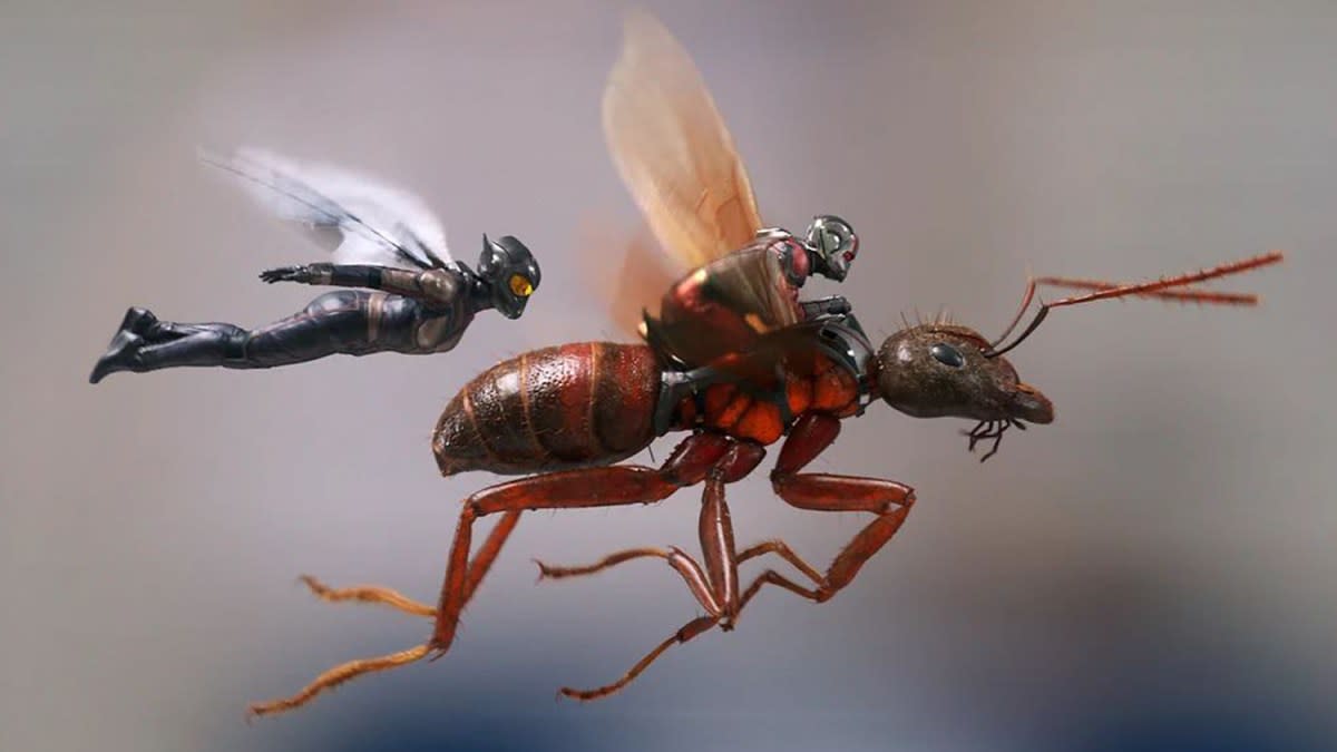 'Ant-Man and The Wasp' - Infinity Saga Chronological Reviews - HubPages