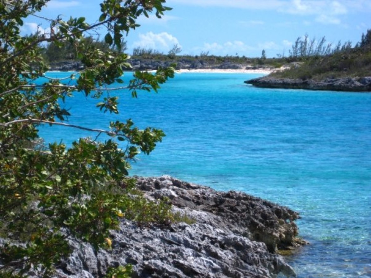 My Bahamas Photo Journal: Exuma Islands Adventure Tour - WanderWisdom
