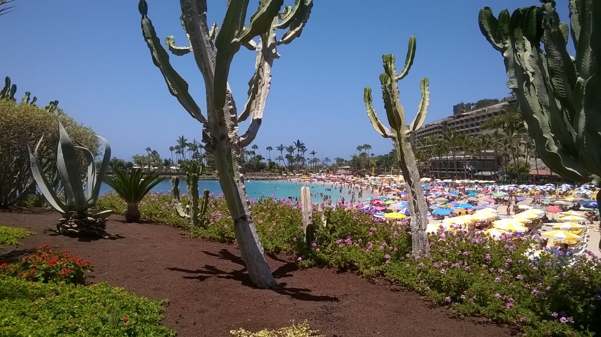 Can I Find 'Cheep' Vacations in the Canary Islands? - HubPages