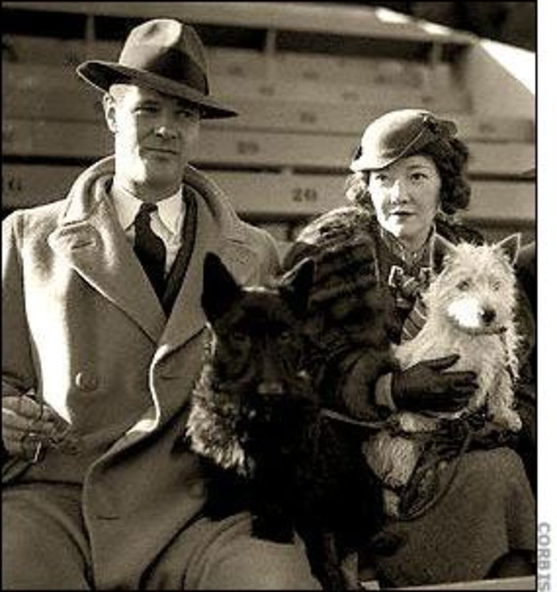 Classic Hollywood Scandals: Paul Kelly & Dorothy Mackaye - HubPages
