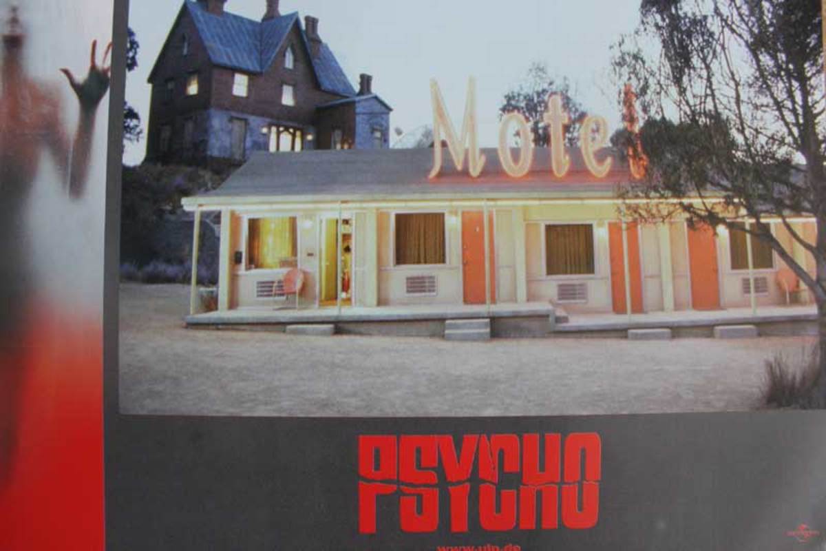 Don't Hate Me: Why I Love 'Psycho' (1998) - HubPages