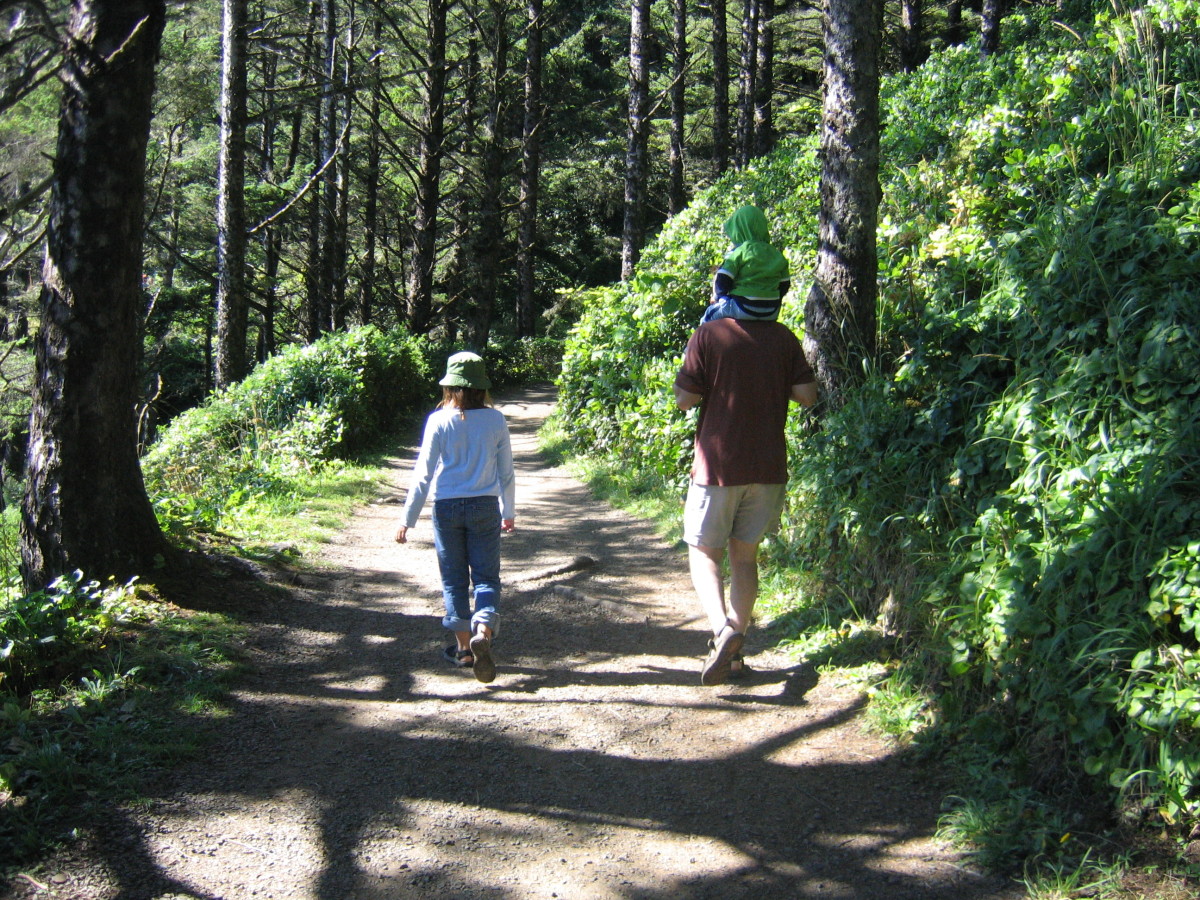 Devil's Elbow and Heceta Head Lighthouse on the Oregon Coast - HubPages