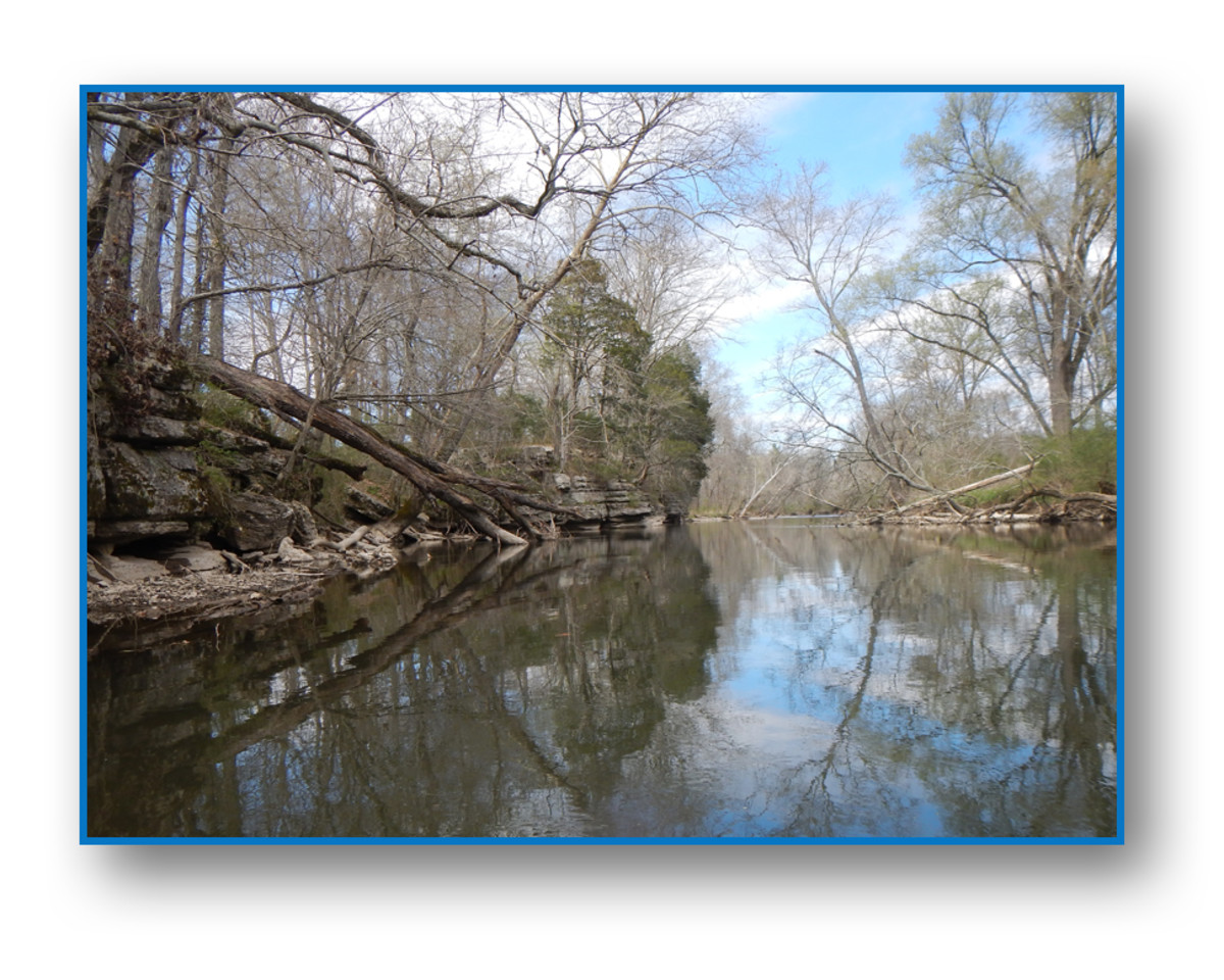 Duck River Kayaking - HubPages