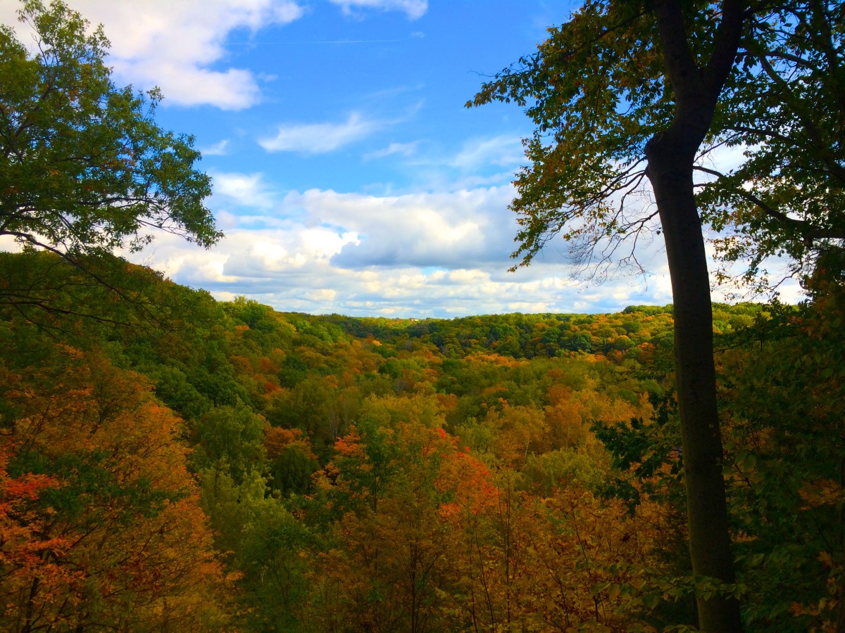 Fall in the Forest: Northeastern Ohio Hiking Hot Spots - HubPages