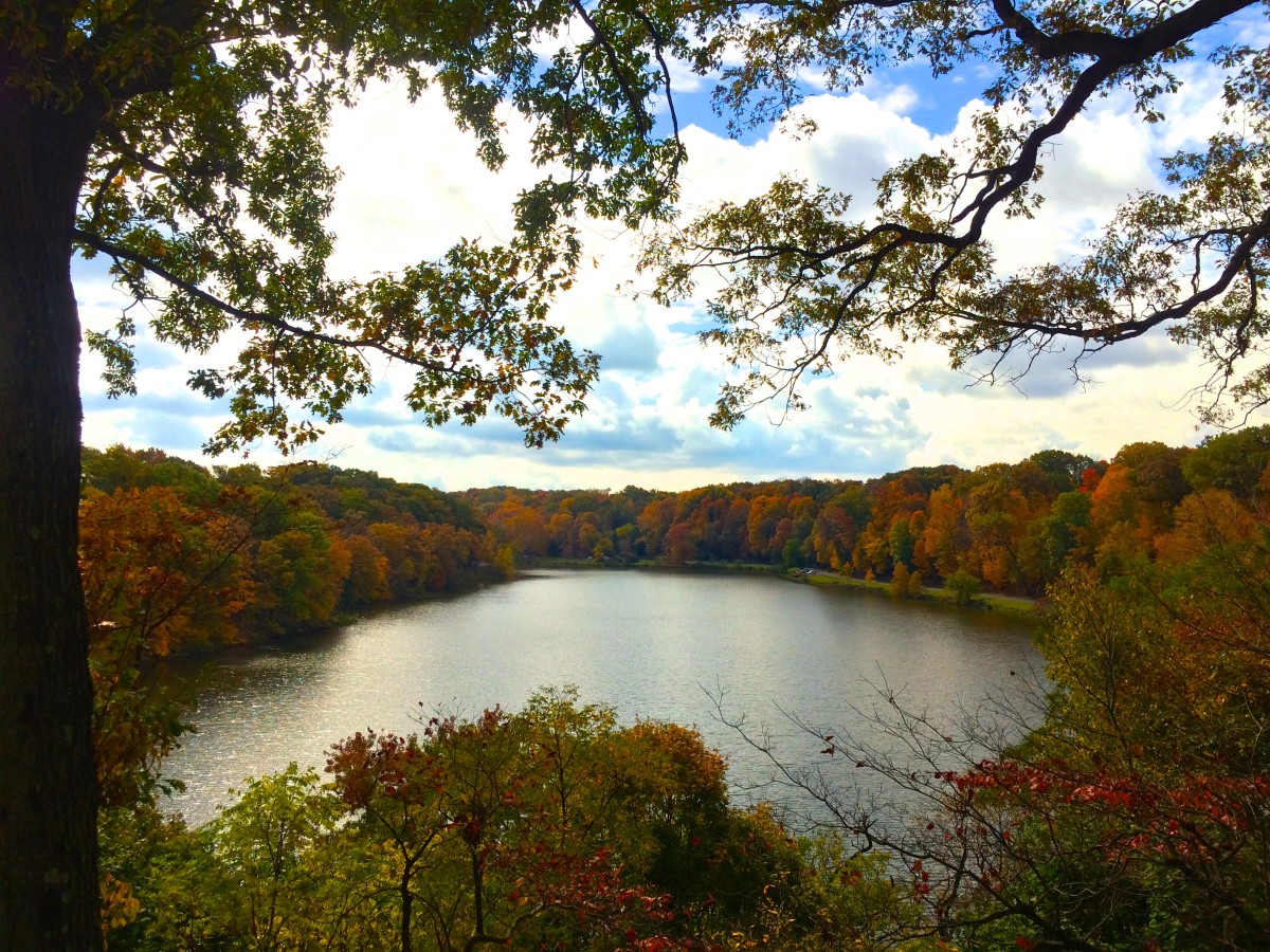 Fall in the Forest: Northeastern Ohio Hiking Hot Spots - HubPages