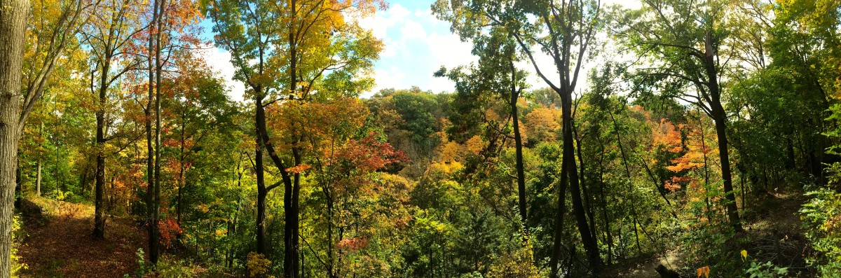 Fall in the Forest: Northeastern Ohio Hiking Hot Spots - HubPages