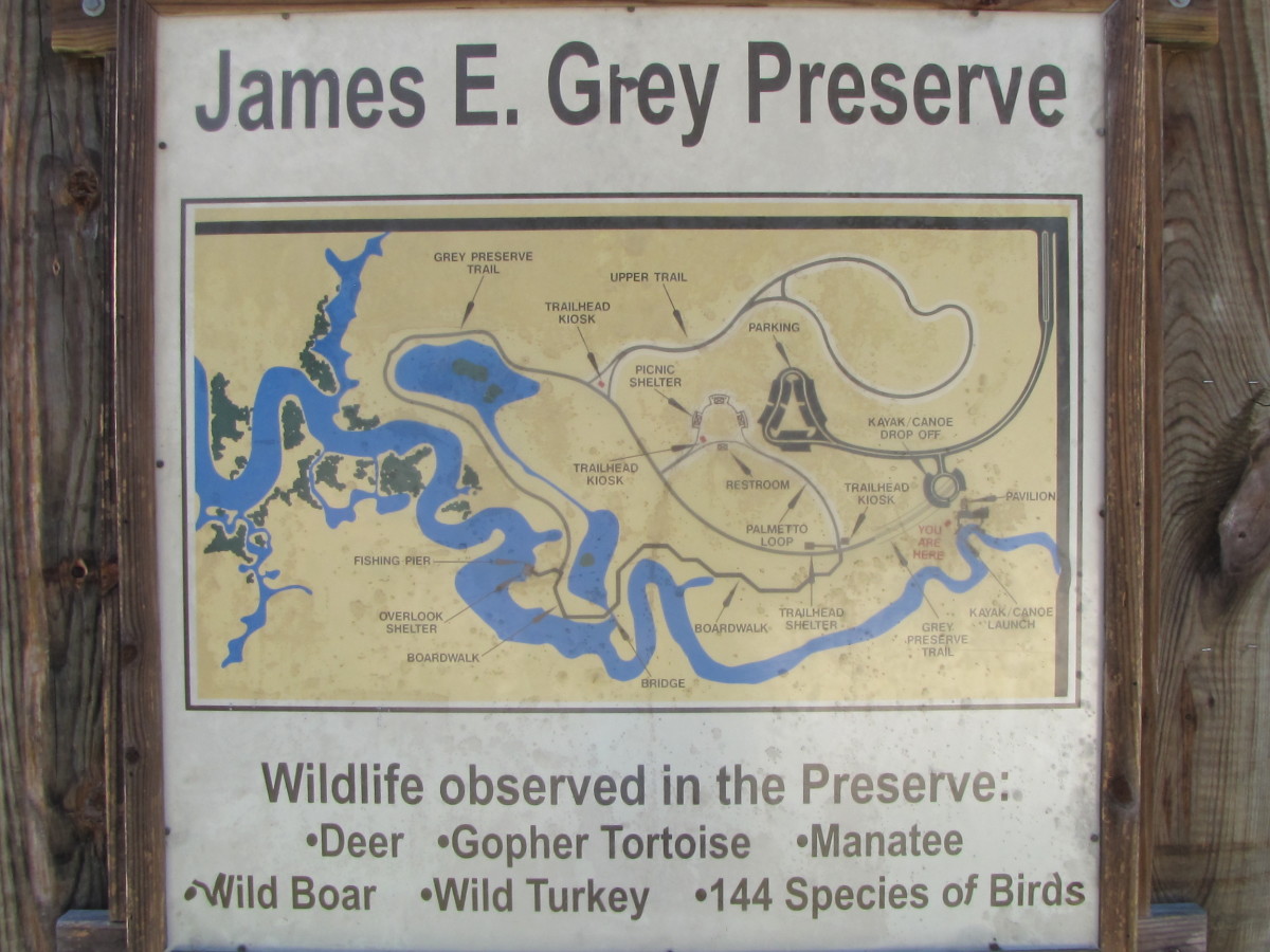 Kayaking the Cotee River in New Port Richey, Florida - HubPages