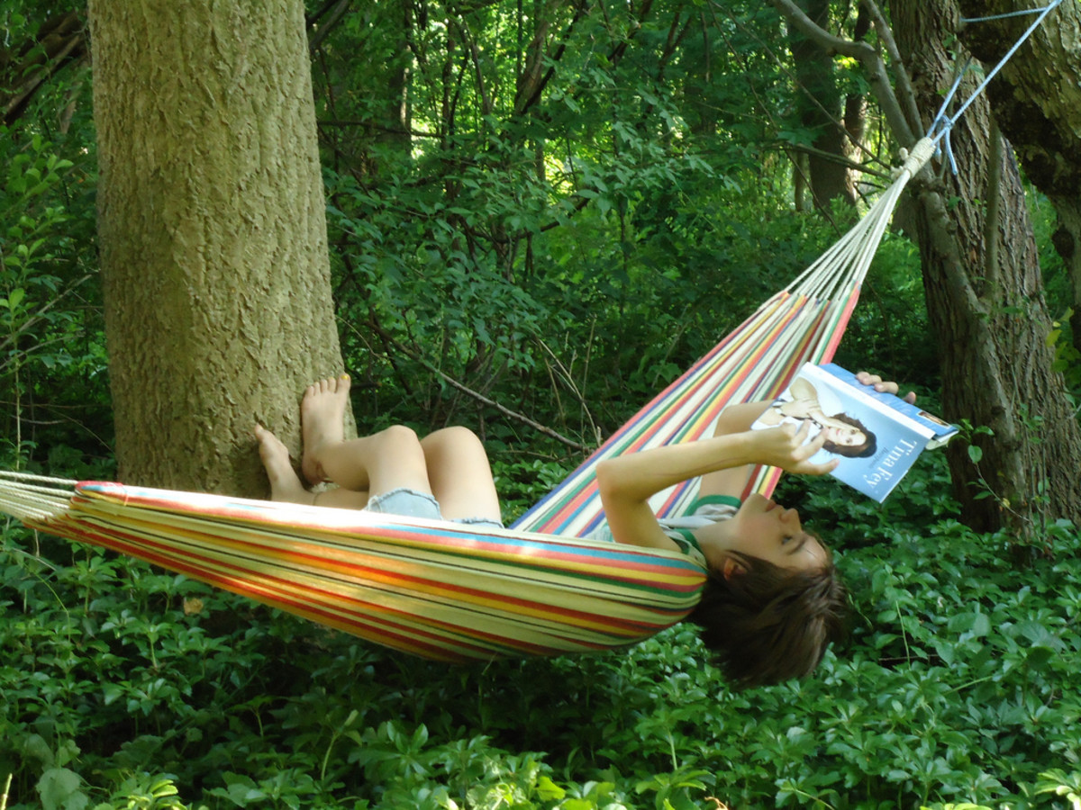 A Basic Comparison of Available Hammock Types (In-Line vs. Spreader ...