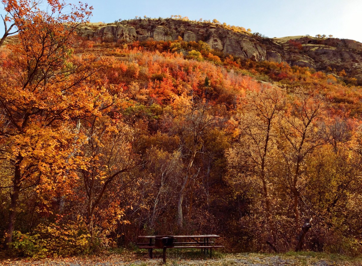 Fall in Utah - HubPages
