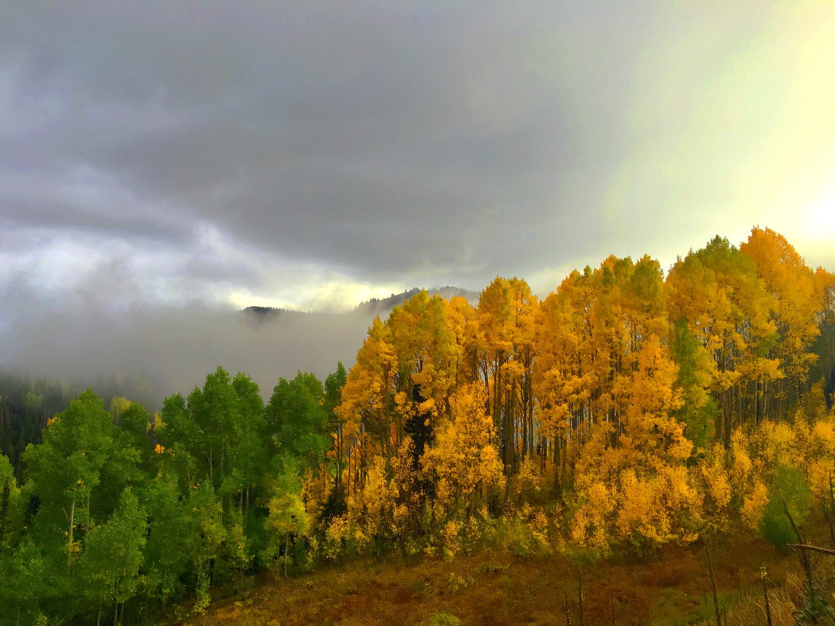 Fall in Utah - HubPages