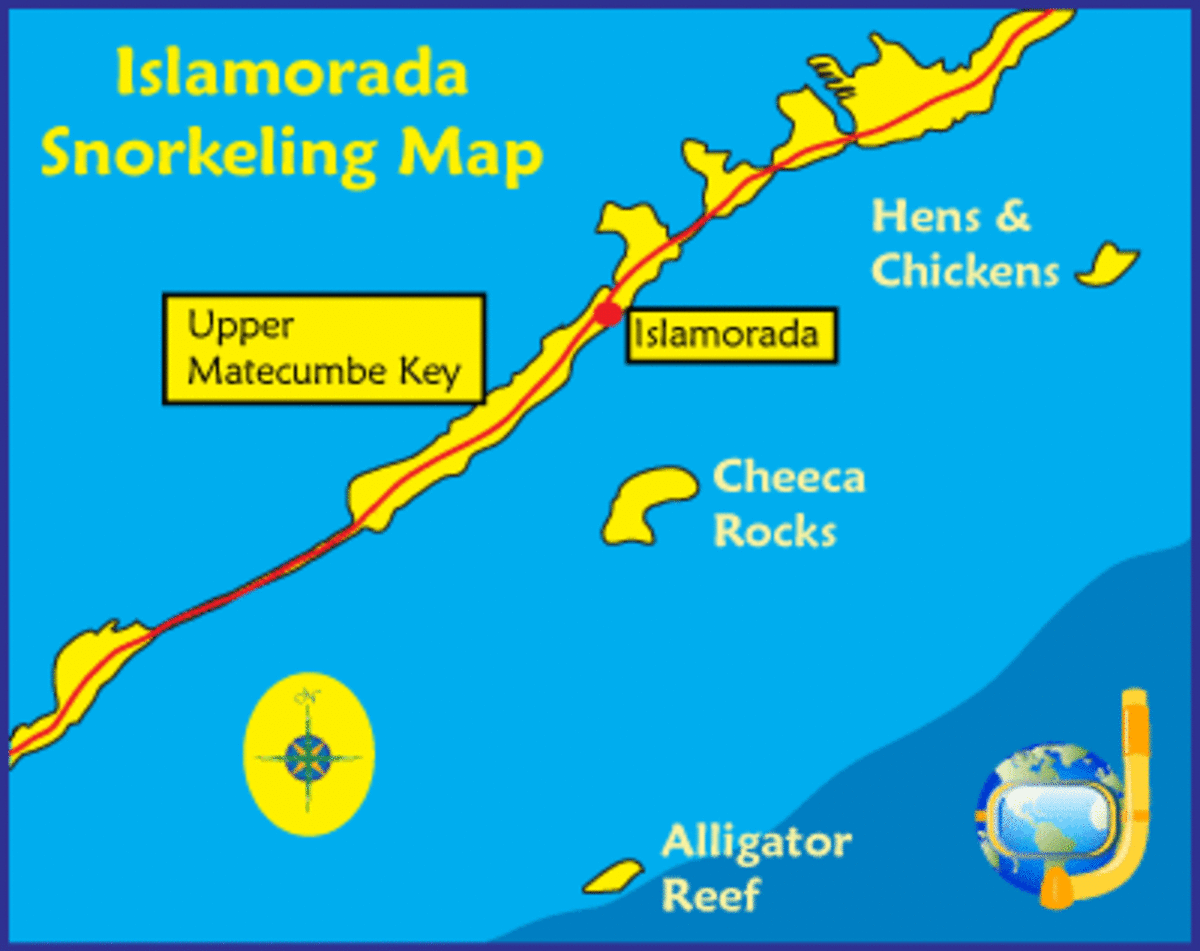 Best Places to Snorkel Coral Reefs in Florida - HubPages