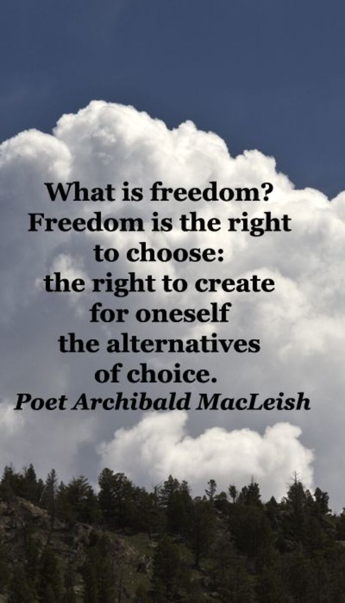 Freedom! - HubPages