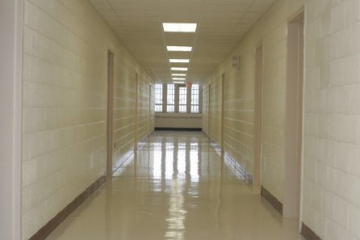 The Shadow of Sandy Hook: School Security Part III - HubPages
