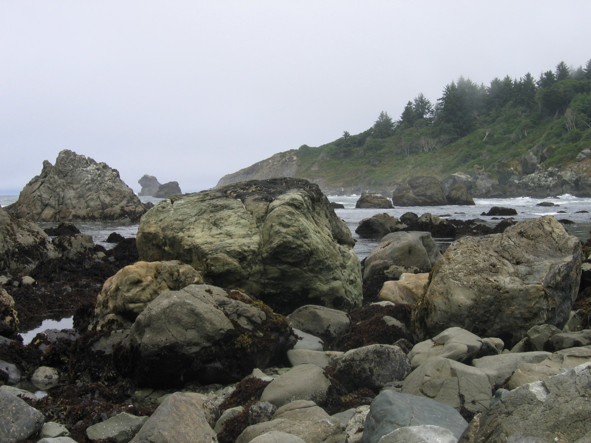 Pacific Coast Highway Road Trip: Patrick's Point State Park - HubPages