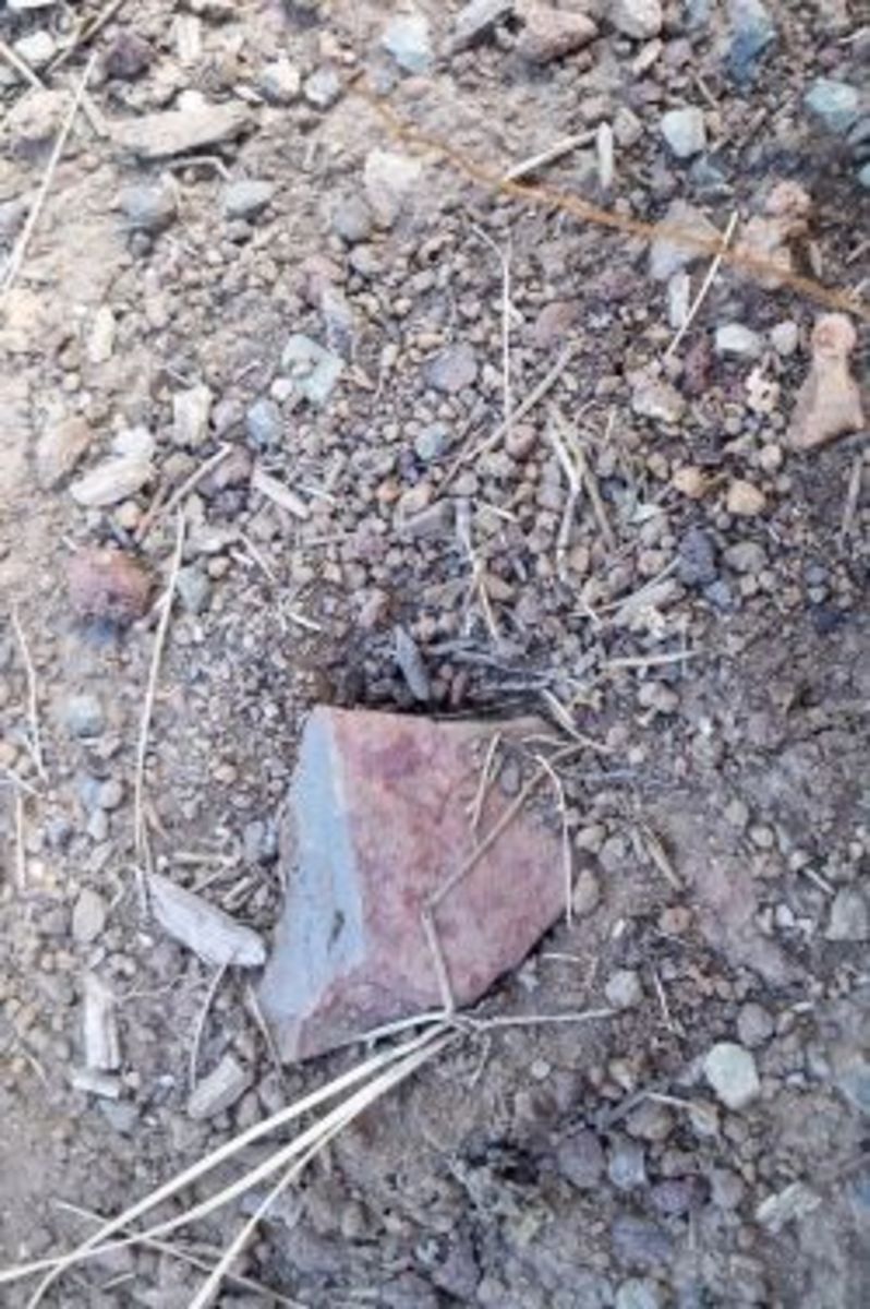 Man-Tracking 101: How to Find and Follow Tracks for Search and Rescue ...