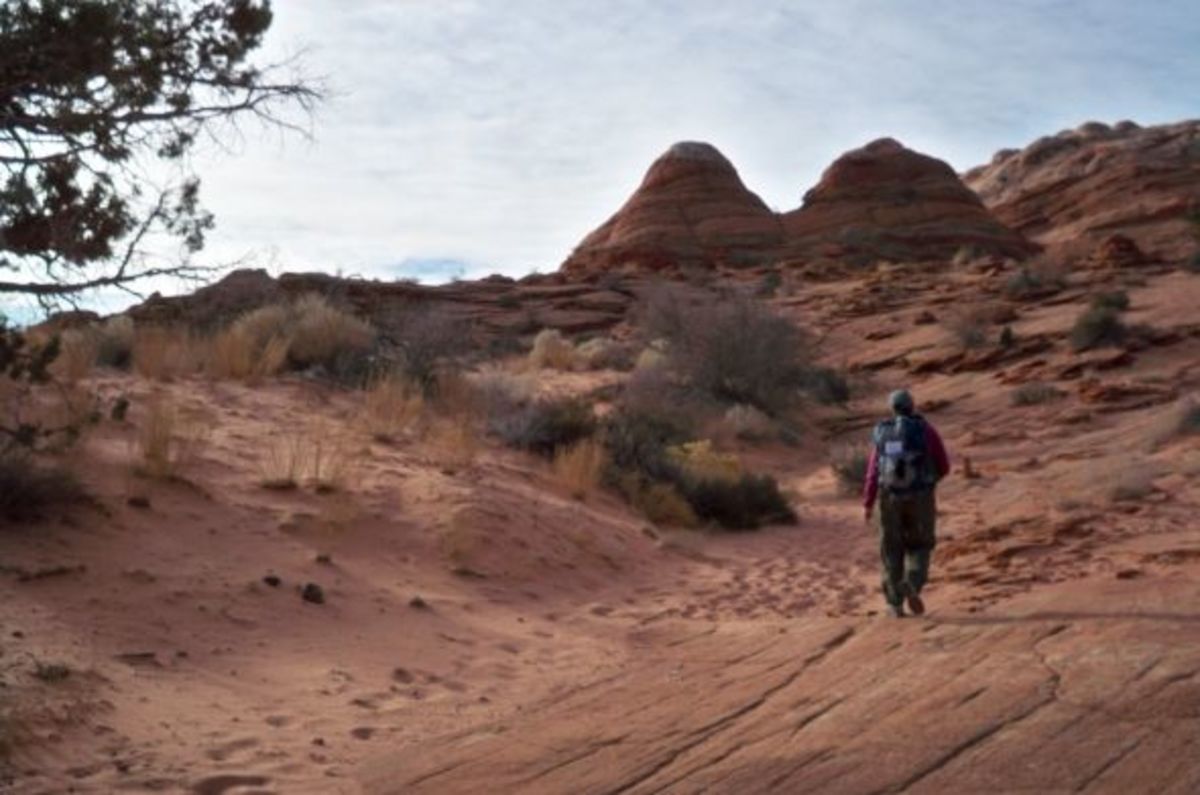 Hiking the Wave in Coyote Buttes - HubPages