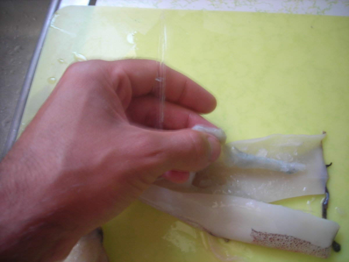 How to Cut, Clean, and Prepare Squid Bait for Fishing - HubPages