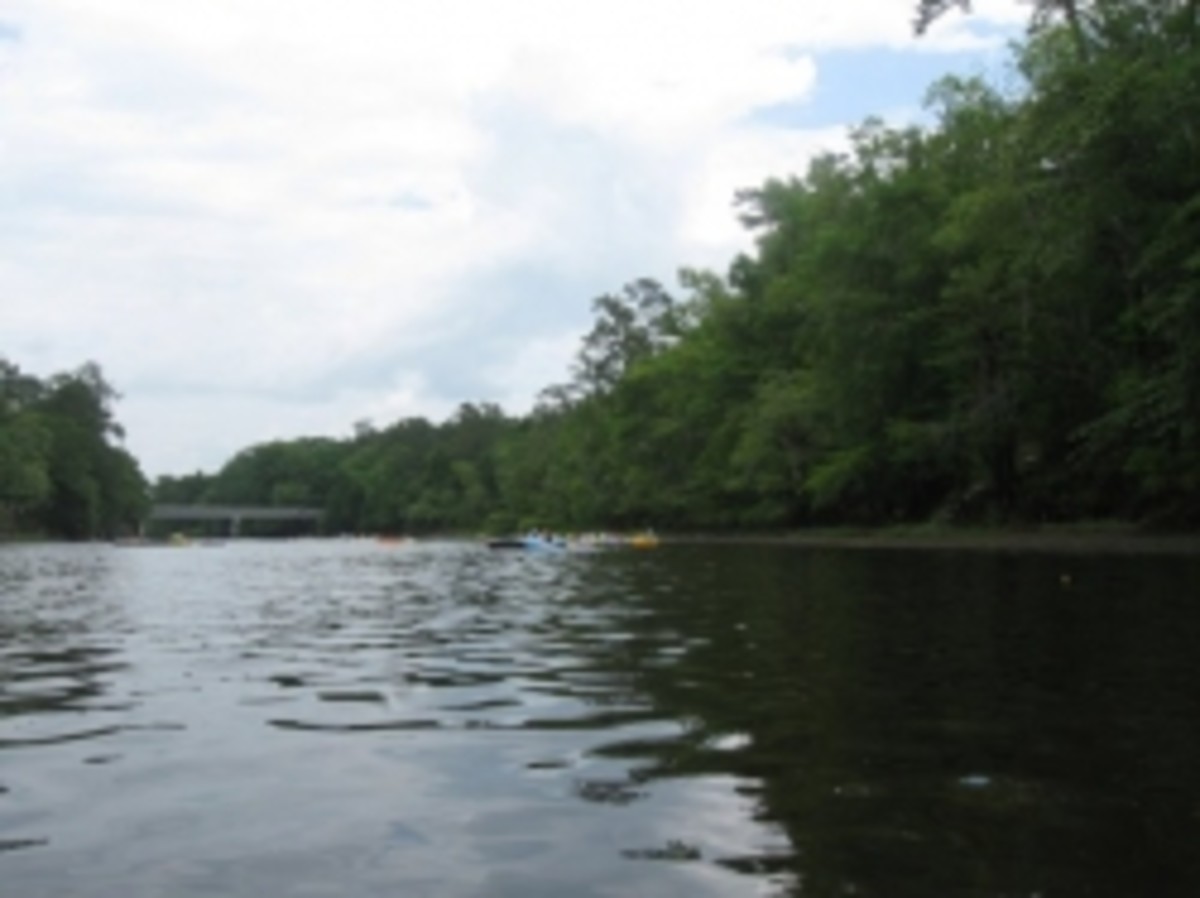 Edisto River Float: Access Points - HubPages