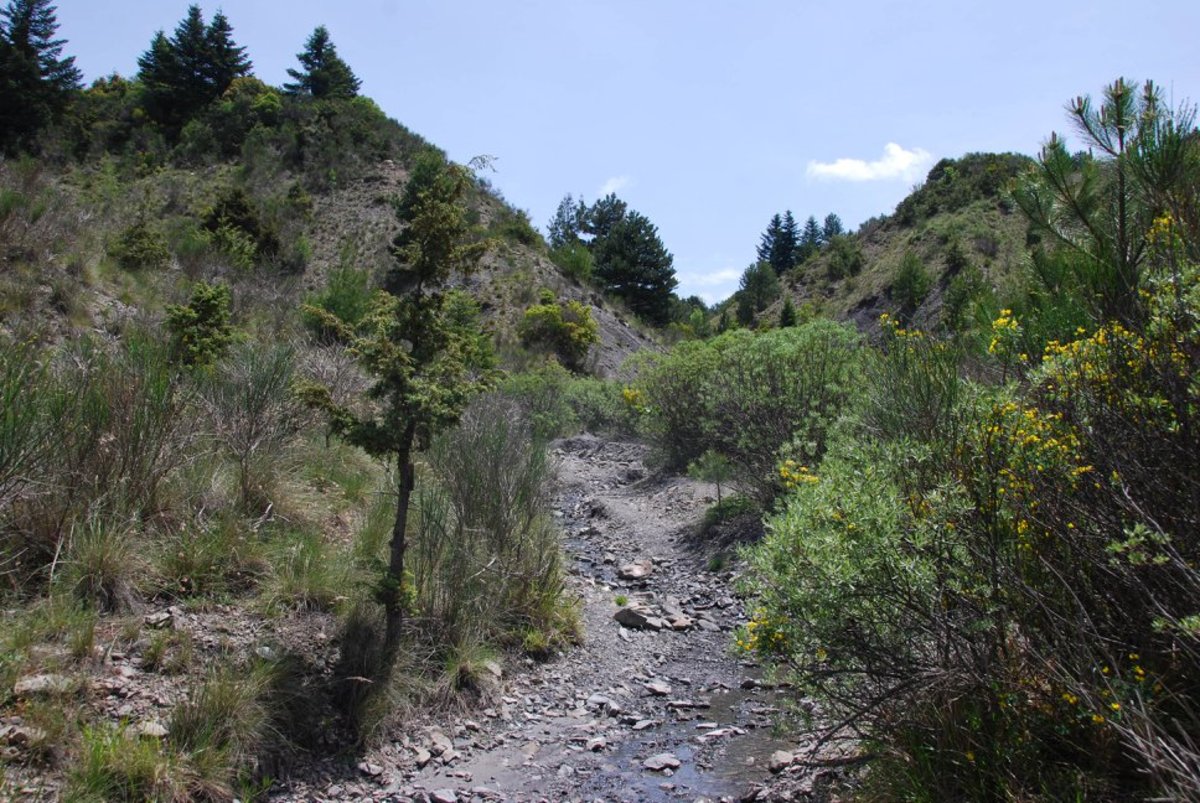 Detailed and Honest Guide to the Menalon Trail - HubPages