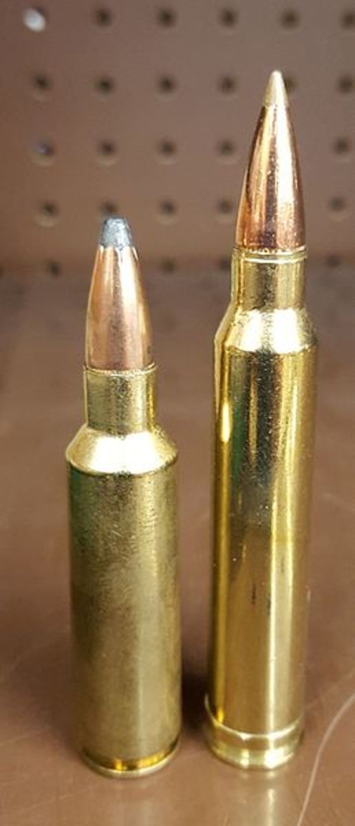 The Best Pronghorn Cartridges: Fast Bullets for Fast Critters - HubPages
