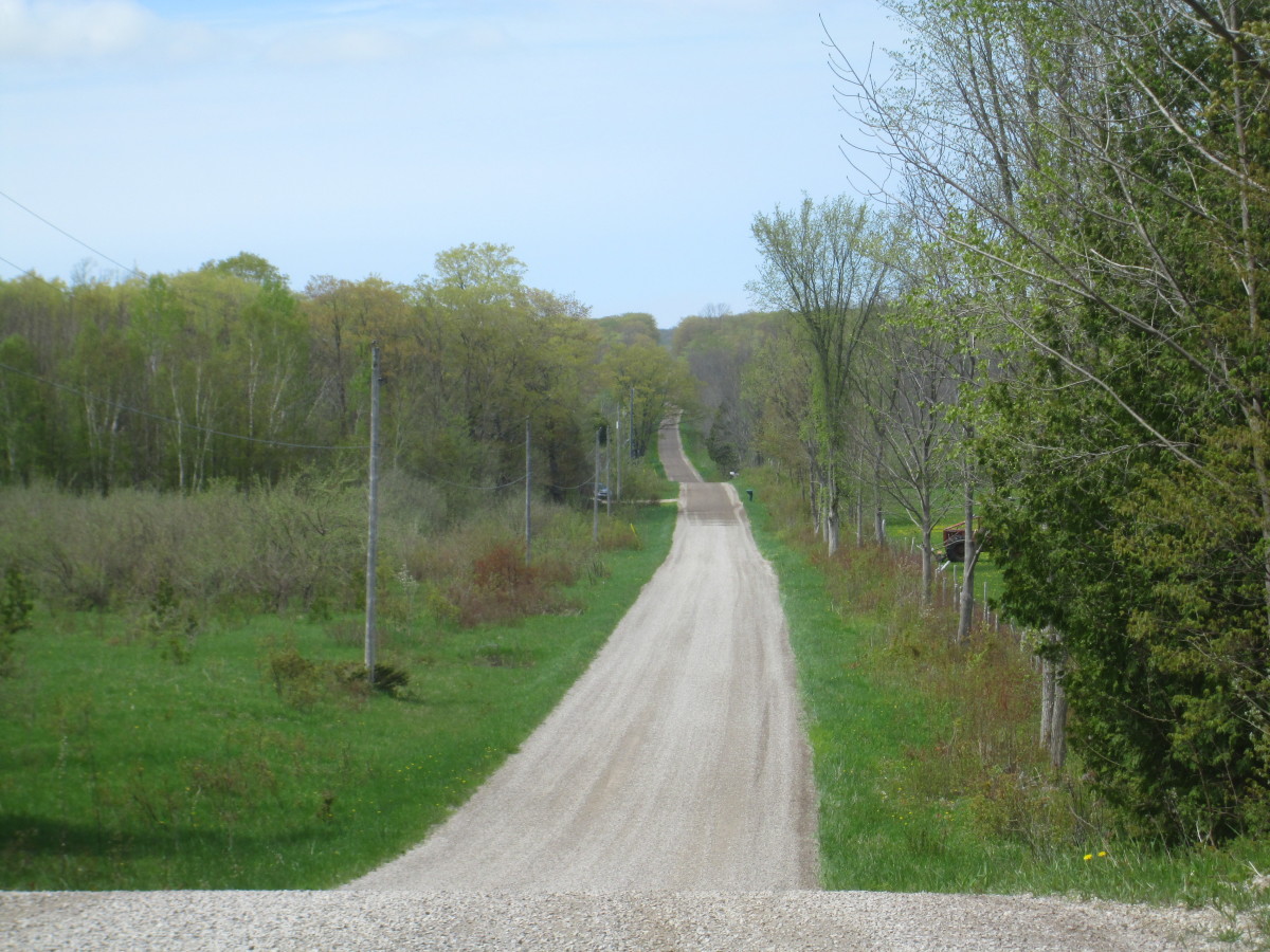 Long-Distance Hiking in Mixed Terrain on the Bruce Trail, Ontario ...