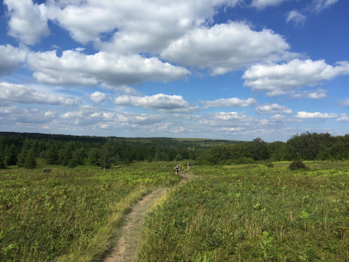 Dolly Sods: An Outstanding Backpacking Adventure You'll Love - HubPages