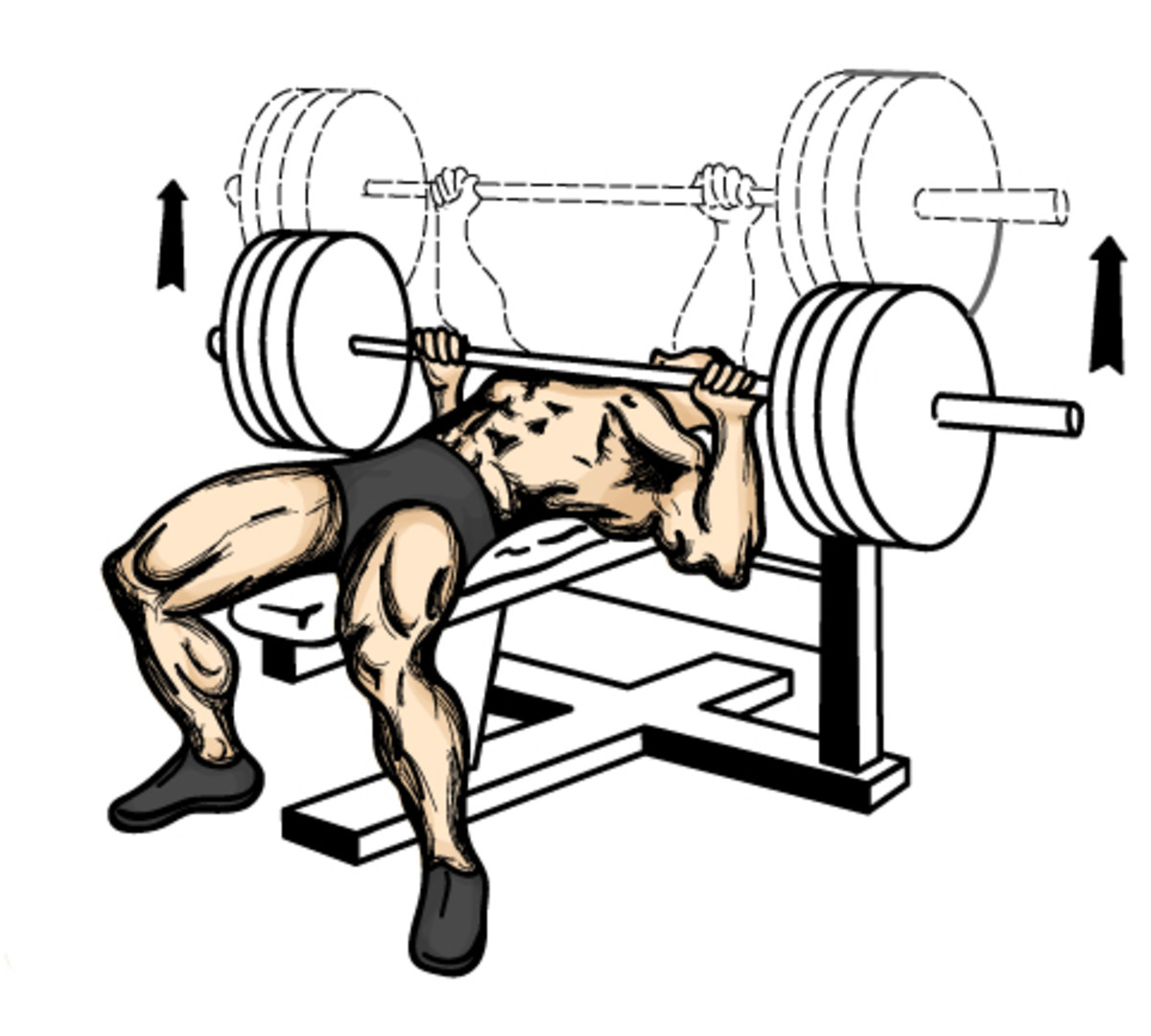 Upper Body Workout Plan With Easy-to-Understand Images & Videos - HubPages