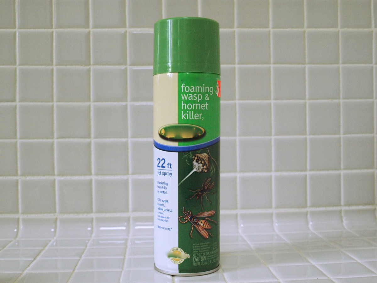 Advantages and Disadvantages of Genetically Modified Food - HubPages