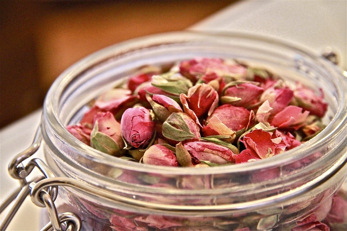 The Surprising Health Benefits of Rose Tea - HubPages
