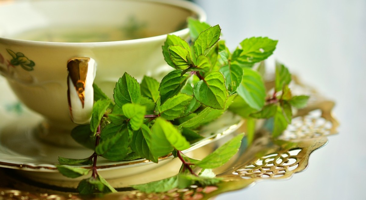 12 Surprising Health Benefits of Peppermint - HubPages