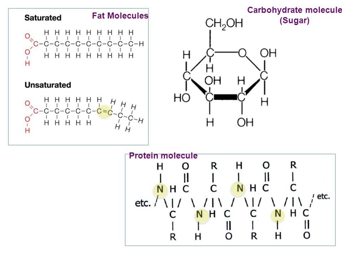 Is the Keto Diet Healthy? - HubPages