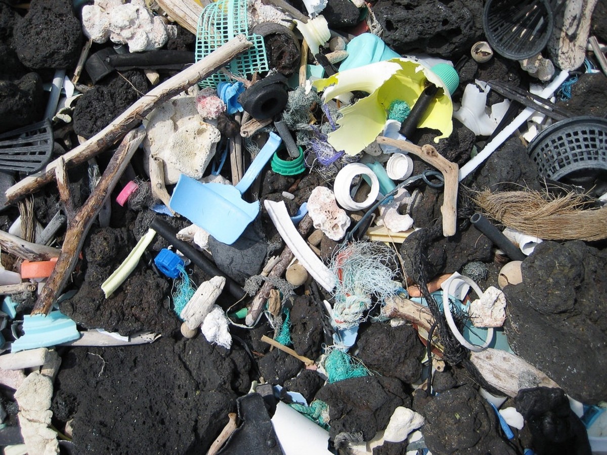 Microplastics, Ocean Pollution, and Effects on Marine Life - HubPages