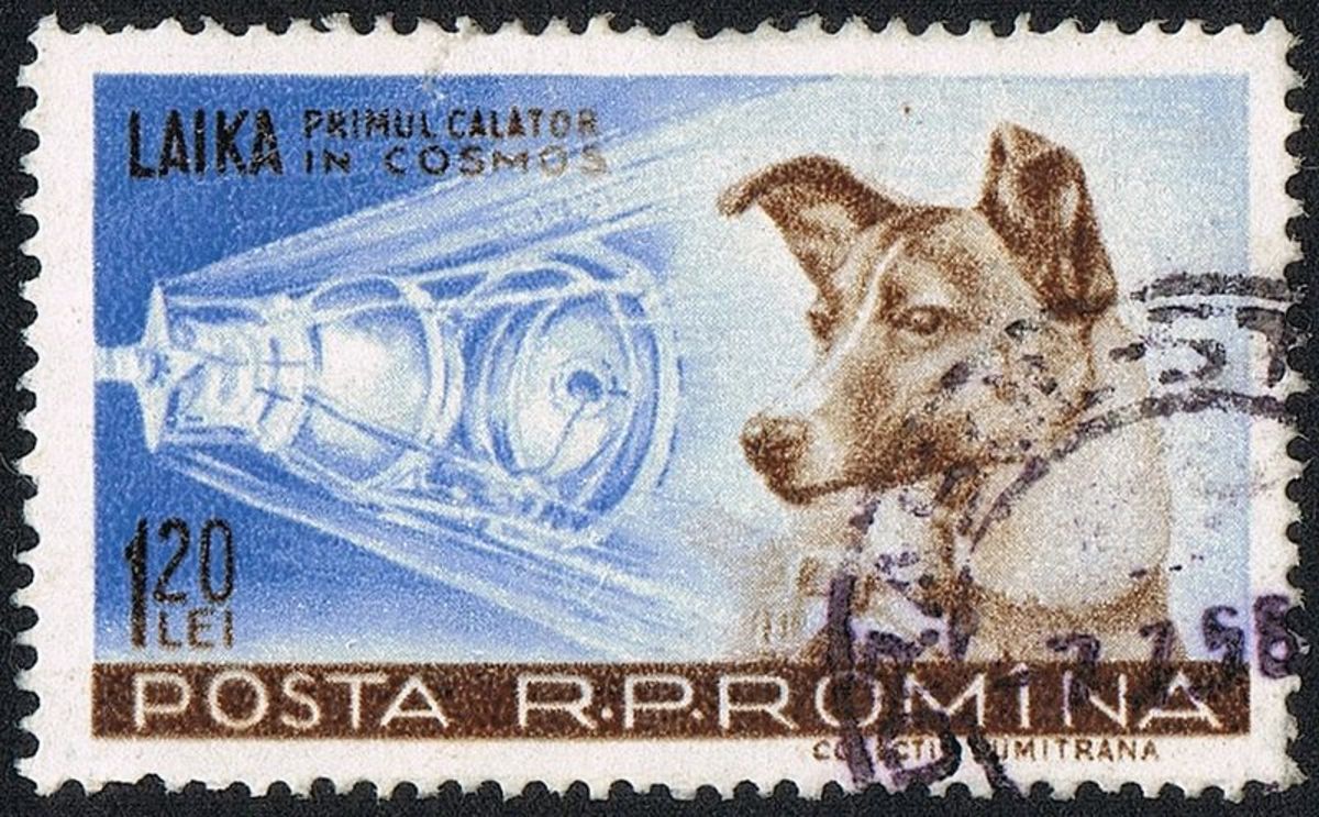 The Story of Laika, the First Dog in Space - Owlcation