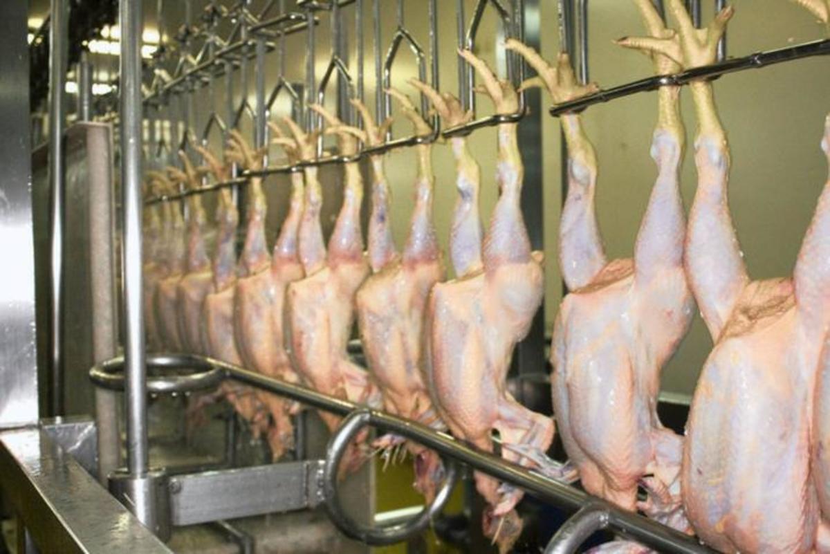 Inauguration of President Trump versus USA Chicken Dumping in South ...