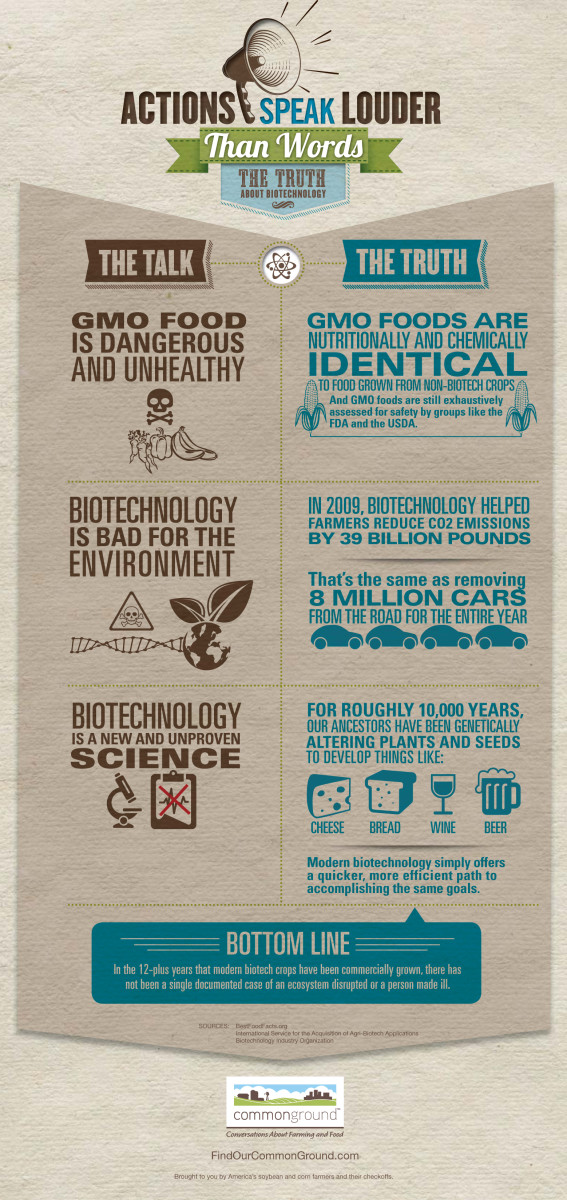 GMOs Explained: Understanding the Science, Benefits, and Concerns ...