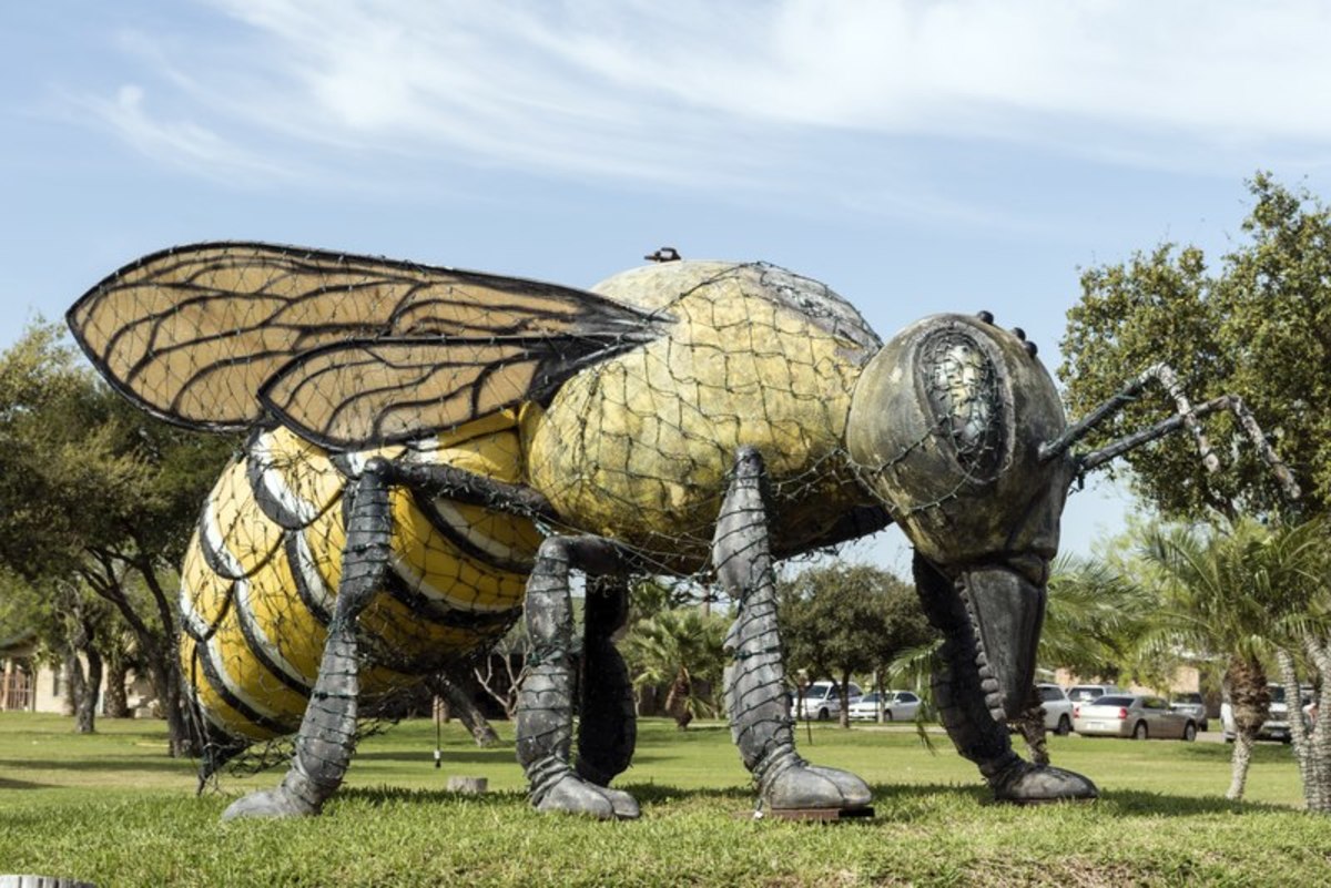 Invasive Insects—How Dangerous Are Killer Bees in the USA? - HubPages